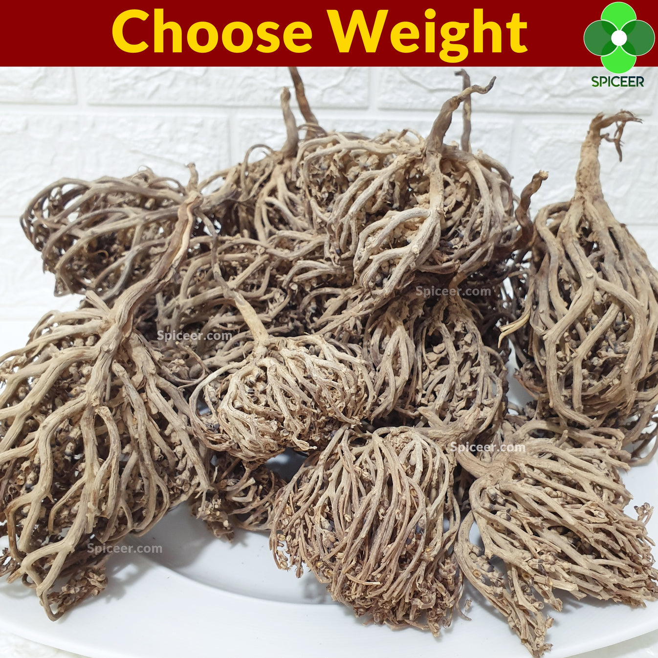 Flower Of Maryam Chaste Tree Herbs Palm Of Mary عشبة كف مريم Mary’s JE ...