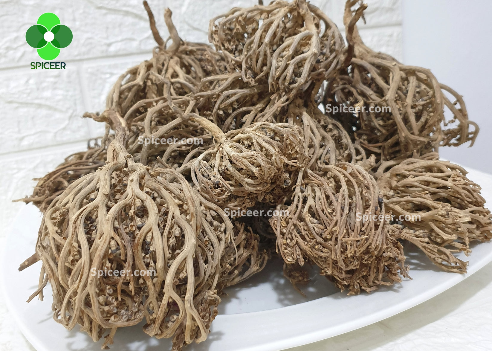 Flower Of Maryam Chaste Tree Herbs Palm Of Mary عشبة كف مريم Mary’s JE ...